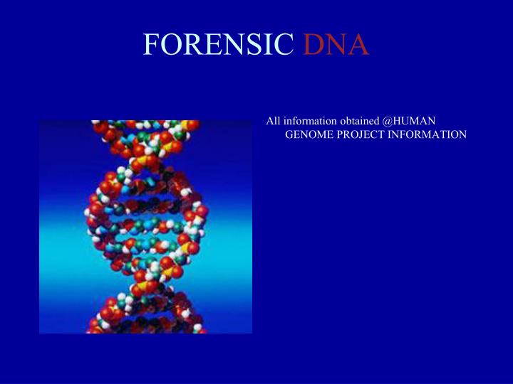 PPT - FORENSIC DNA PowerPoint Presentation, free download - ID:3580526
