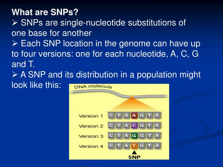 PPT - What are SNPs? SNPs are single-nucleotide substitutions of one ...