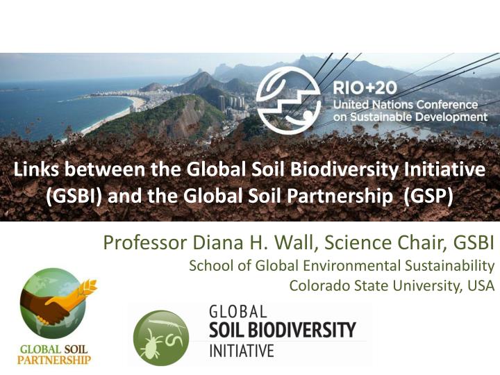PPT - SOIL BIODIVERSITY PROVIDES ECOSYSTEM SERVICES PowerPoint ...