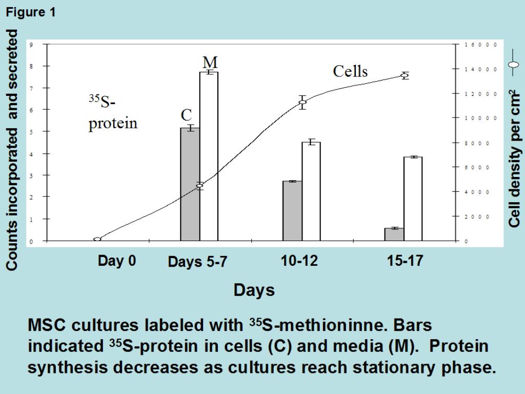 PPT - How does the body repair itself? PowerPoint Presentation, free ...