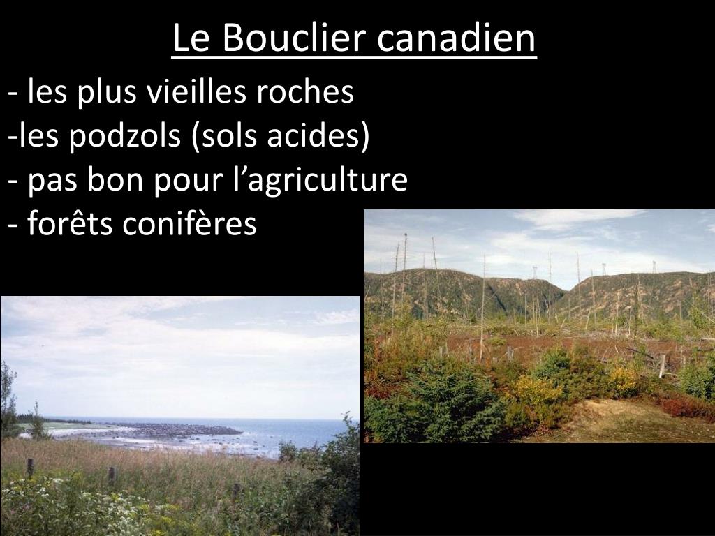 PPT - Les régions physiographiques du Canada PowerPoint Presentation ...
