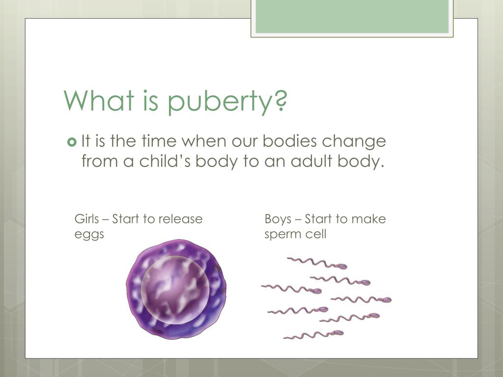 PPT - Adapted from: Puberty: Understanding Your Changing Body ... PPT - Adapted from: Puberty: Understanding Your Changing Body ...