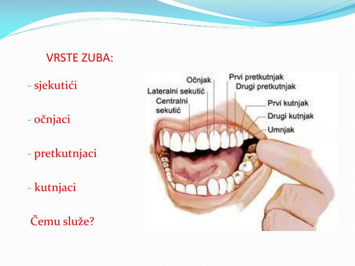 PPT - Što vi mislite, što ćemo novo naučiti? PowerPoint Presentation ...