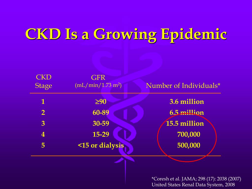 PPT - Chronic Kidney Disease What You Need to Know PowerPoint ...