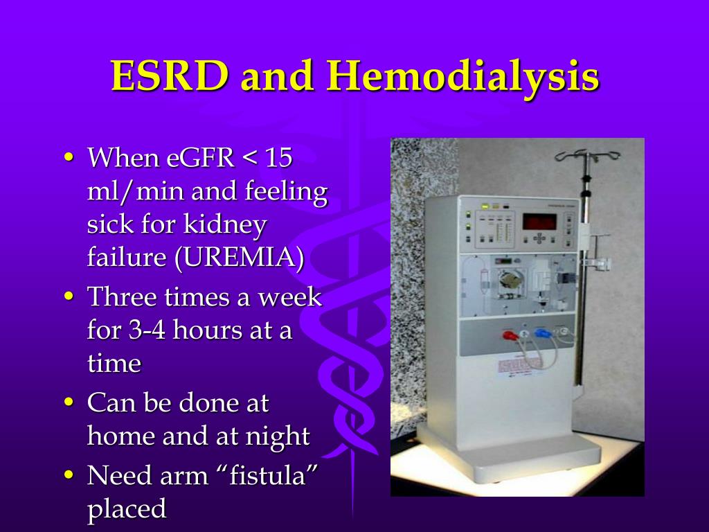 PPT - Chronic Kidney Disease What You Need to Know PowerPoint ...