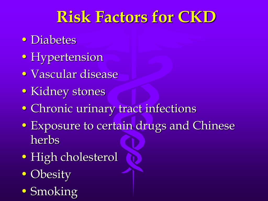 PPT - Chronic Kidney Disease What You Need to Know PowerPoint ...