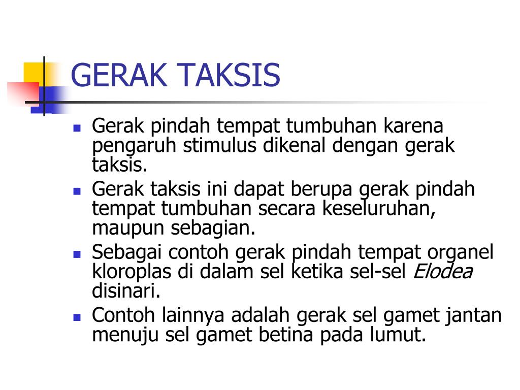 PPT - Standar Kompetensi: Memahami sistem dalam kehidupan tumbuhan ...