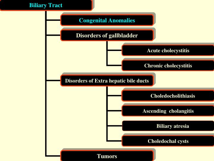 PPT - MC congenital anomalies = abnormal variants of the gallbladder MC ...