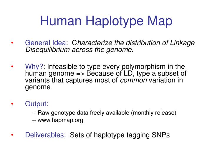 PPT - The HapMap Project and Haploview PowerPoint Presentation - ID:3585627
