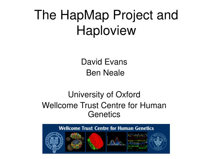 PPT - The HapMap Project and Haploview PowerPoint Presentation, free ...