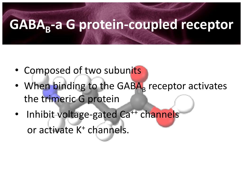 PPT - GABA- γ- Aminobutyric Acid, Glutamate, and Glycine PowerPoint ...
