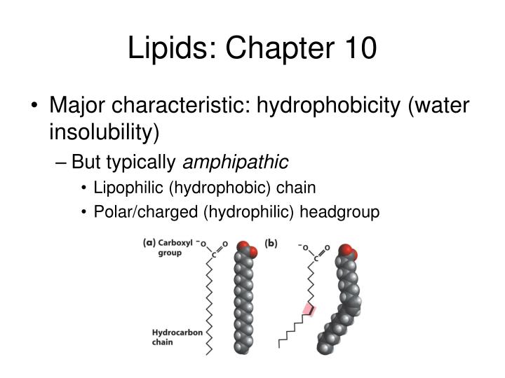 PPT - Lipids: Chapter 10 PowerPoint Presentation, free download - ID ...