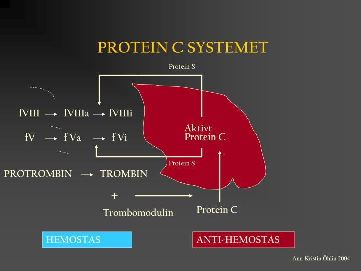 PPT - HEMOSTAS PowerPoint Presentation - ID:3587612
