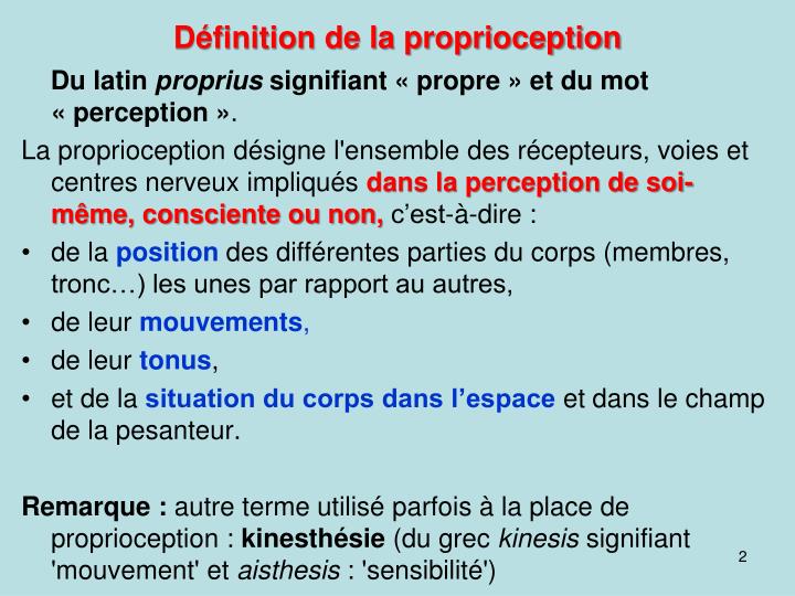 PPT - La proprioception : définition PowerPoint Presentation - ID:3588571