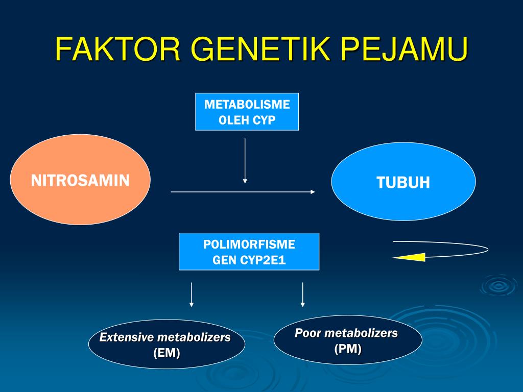 PPT - DISTRIBUSI GENOTIP CYP2E1 PADA PENDERITA KANKER NASOFARING DARI ...