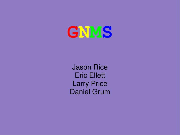 PPT - G N M S PowerPoint Presentation, free download - ID:3589763