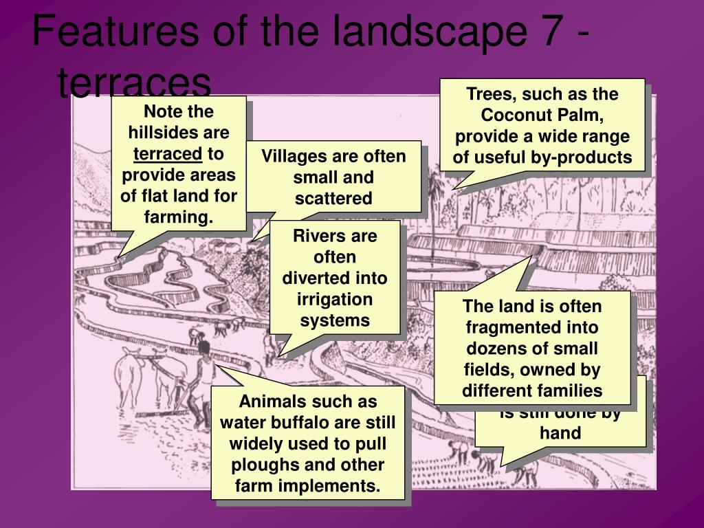 PPT - Features of the Goan farming landscape -1 PowerPoint Presentation ...