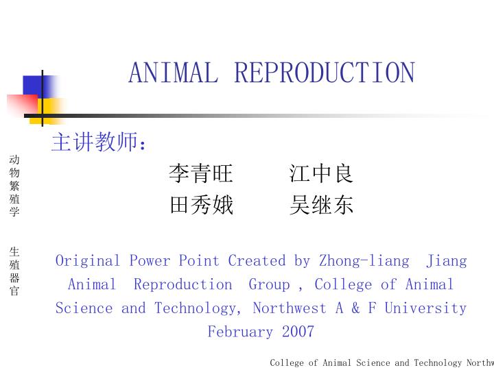 PPT - ANIMAL REPRODUCTION PowerPoint Presentation, free download - ID ...