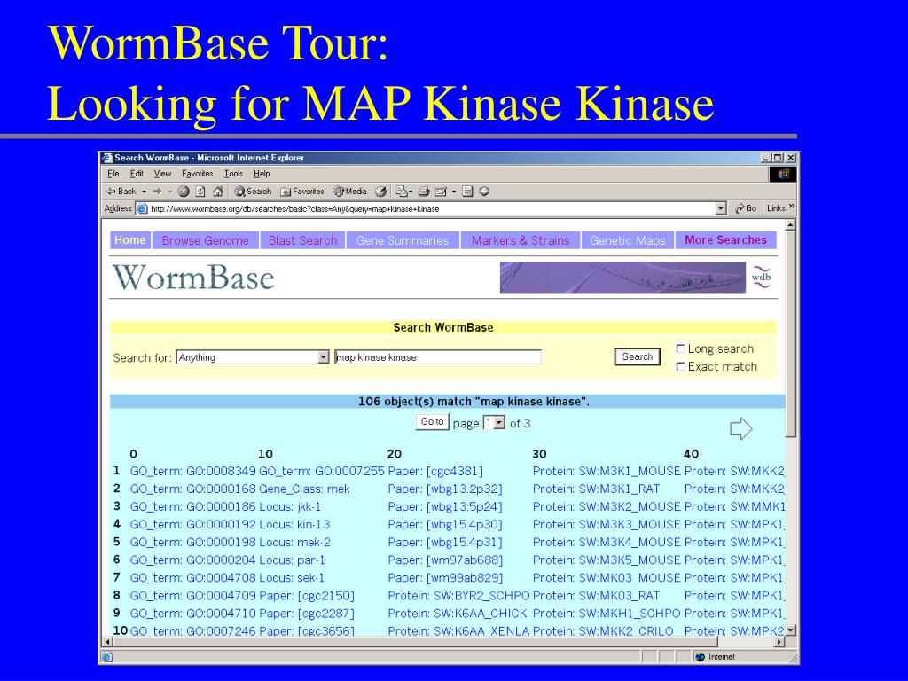 PPT - WormBase: A Resource for the Biology & Genome of C. elegans ...