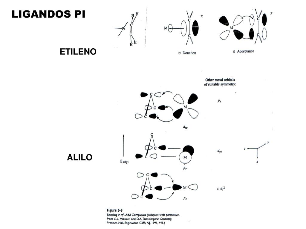 PPT - LIGANDOS PowerPoint Presentation, free download - ID:3590874