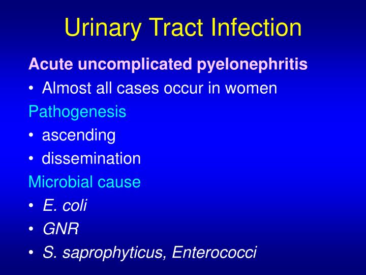 PPT - Urinary tract infection PowerPoint Presentation - ID:3591002