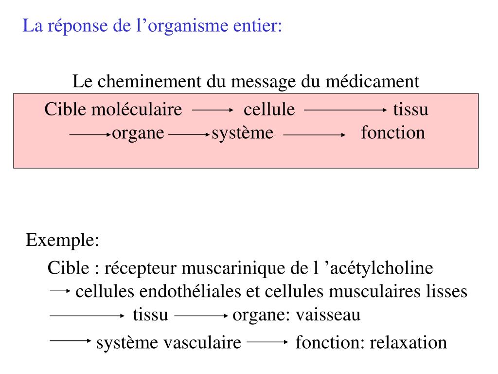 PPT - De la cible du médicament à la réponse de l’organisme PowerPoint ...