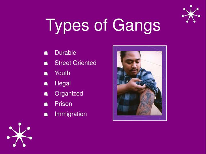 PPT - Violence PowerPoint Presentation - ID:3591752