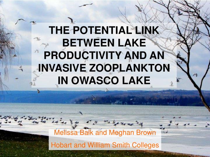 PPT - Melissa Balk and Meghan Brown Hobart and William Smith Colleges ...