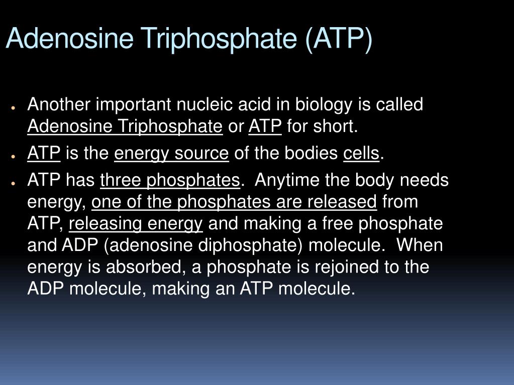 PPT - Organic Chemistry, The Building Blocks of Life, Chapter 6.4 ...