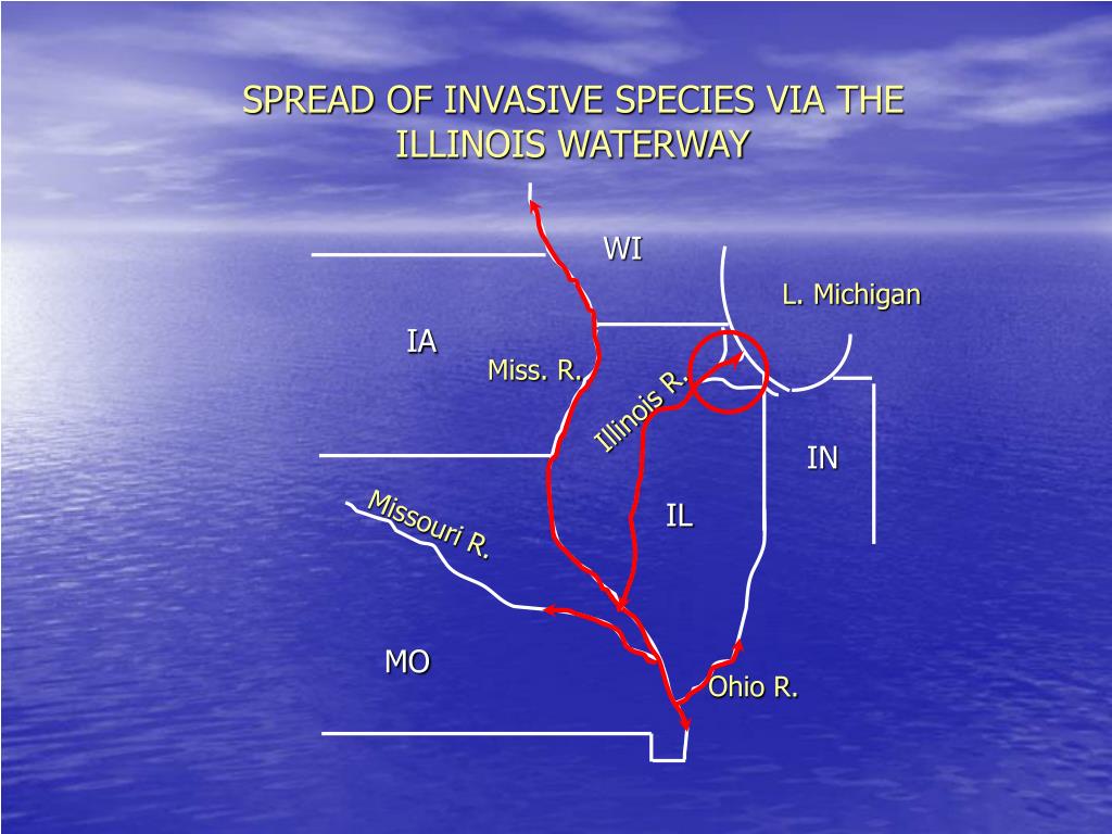 PPT - Chicago Sanitary and Ship Canal Aquatic Nuisance Species ...