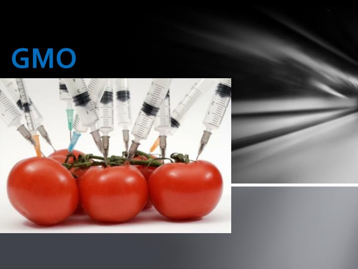 PPT - GMO PowerPoint Presentation, free download - ID:3593179