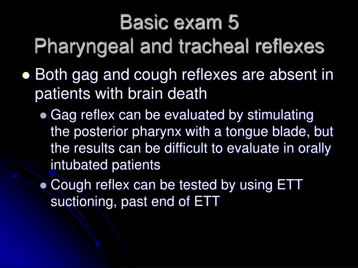 PPT - Brain Death PowerPoint Presentation - ID:3593546