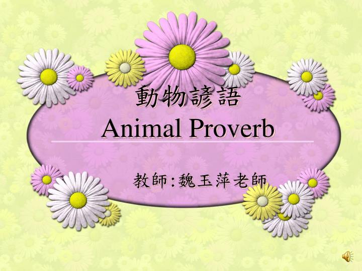 PPT - 動物諺語 Animal Proverb PowerPoint Presentation, free download - ID ...