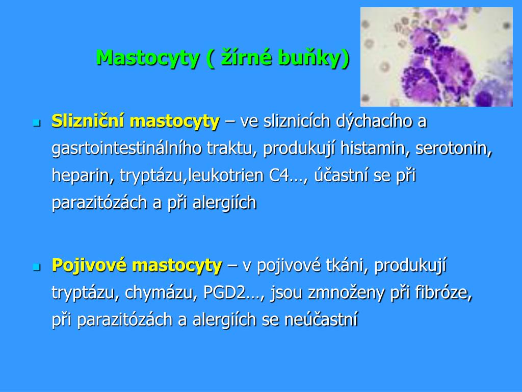 PPT - Bazofily a mastocyty a jejich význam v imunitních reakcích ...
