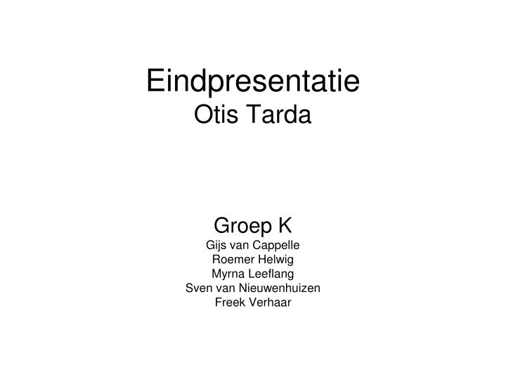 PPT - Eindpresentatie Otis Tarda PowerPoint Presentation, free download - ID:3594568