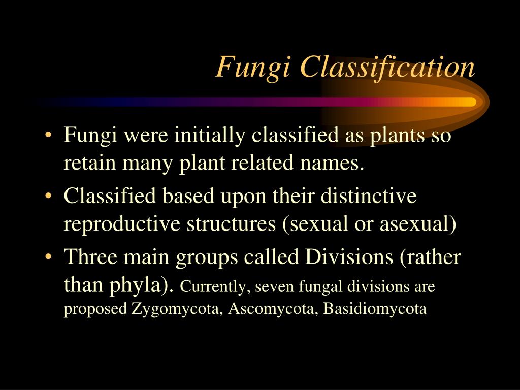 PPT - Fungus – Mycology-BIOLOGY 11 PowerPoint Presentation, free ...
