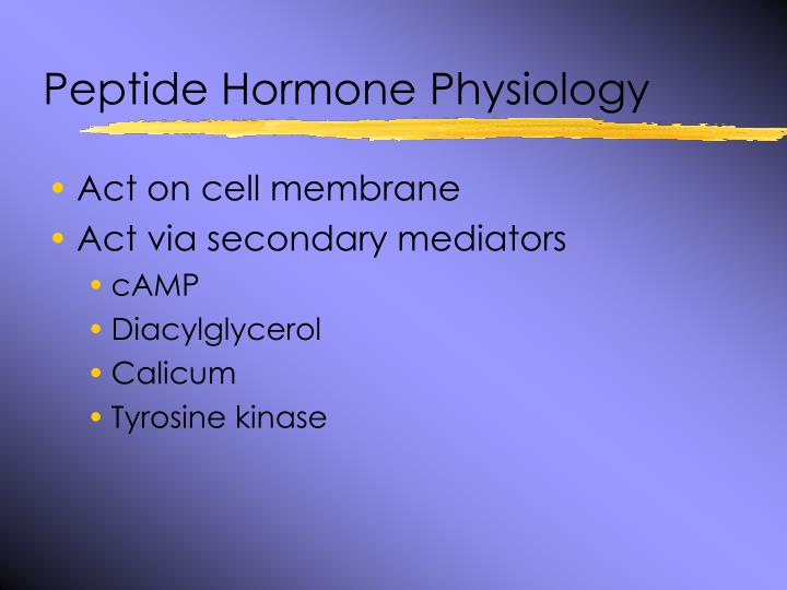 PPT - Peptide Hormones PowerPoint Presentation - ID:3595222