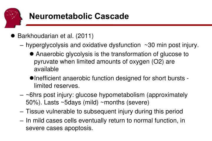 PPT - Glial responses to TBI PowerPoint Presentation - ID:3595233