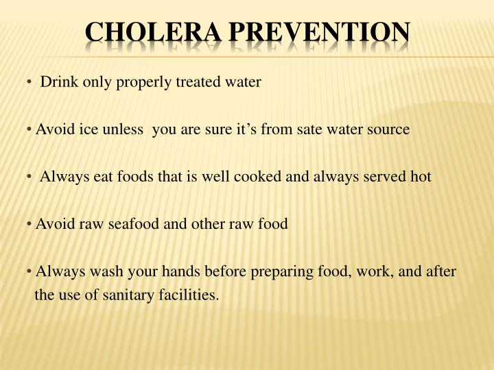 PPT - Cholera & Sanitation in Ghana PowerPoint Presentation - ID:3595326