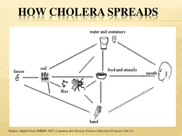 PPT - Cholera & Sanitation in Ghana PowerPoint Presentation - ID:3595326