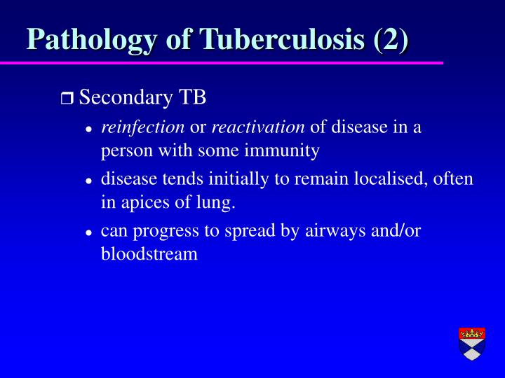 PPT - Pathology of Pulmonary Infections PowerPoint Presentation - ID ...