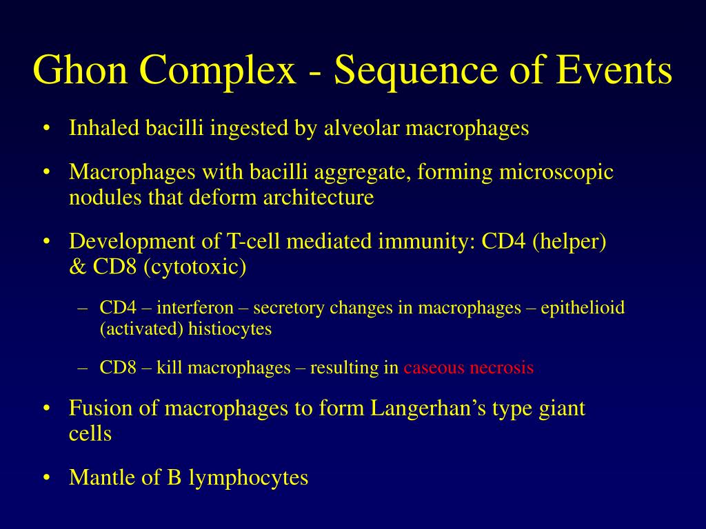 PPT - Pathogenesis of Granulomatous & Interstitial Airways Disease ...