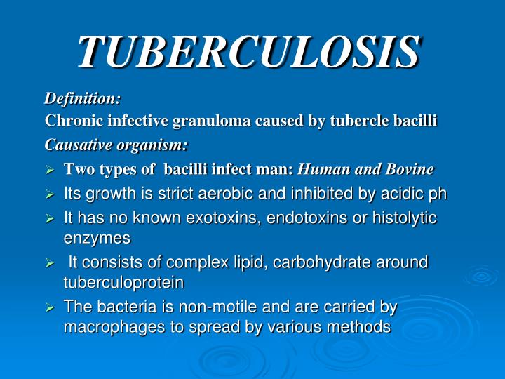 PPT - Lung Pathology TUBERCULOSIS PowerPoint Presentation - ID:3595637