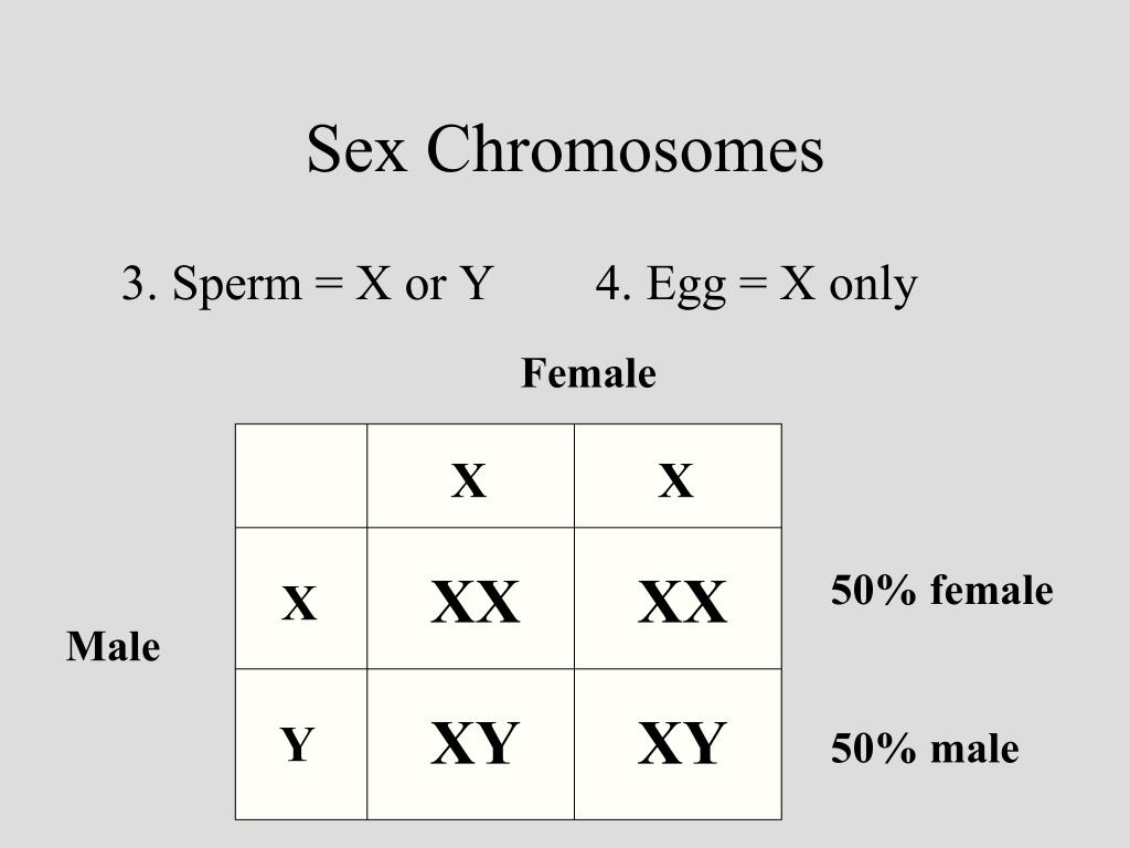 Ppt Unit 4 Cell Division And Heredity Powerpoint Presentation Id 3595803