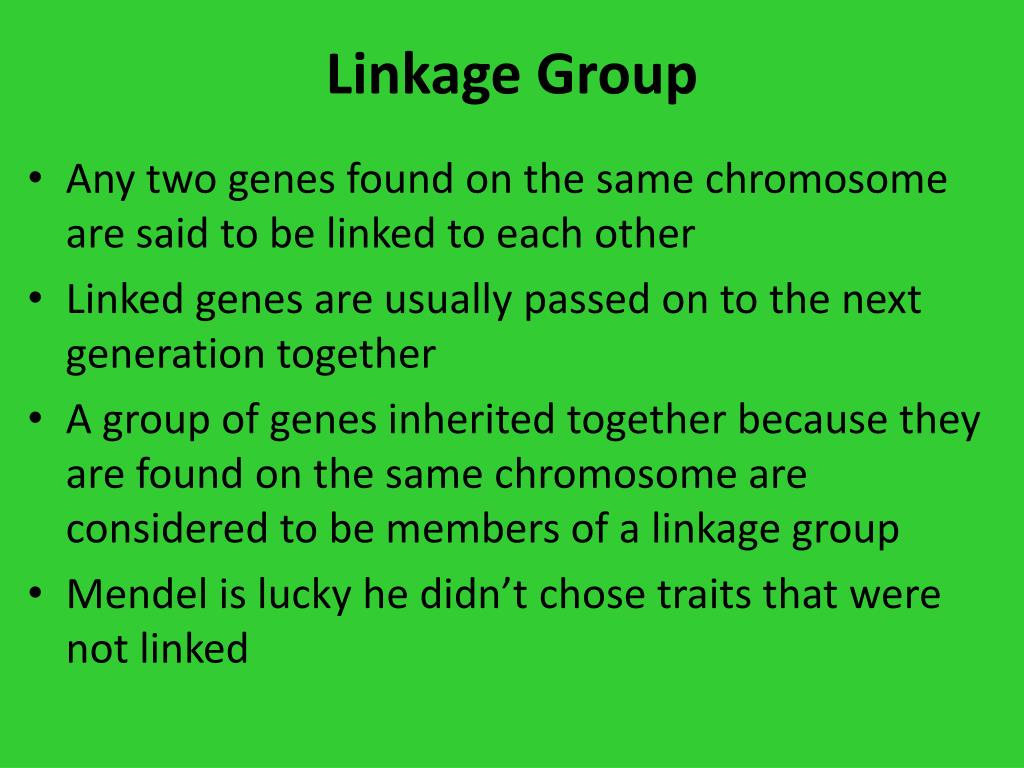 PPT - Dihybrid Crosses and Gene Linkage PowerPoint Presentation, free ...