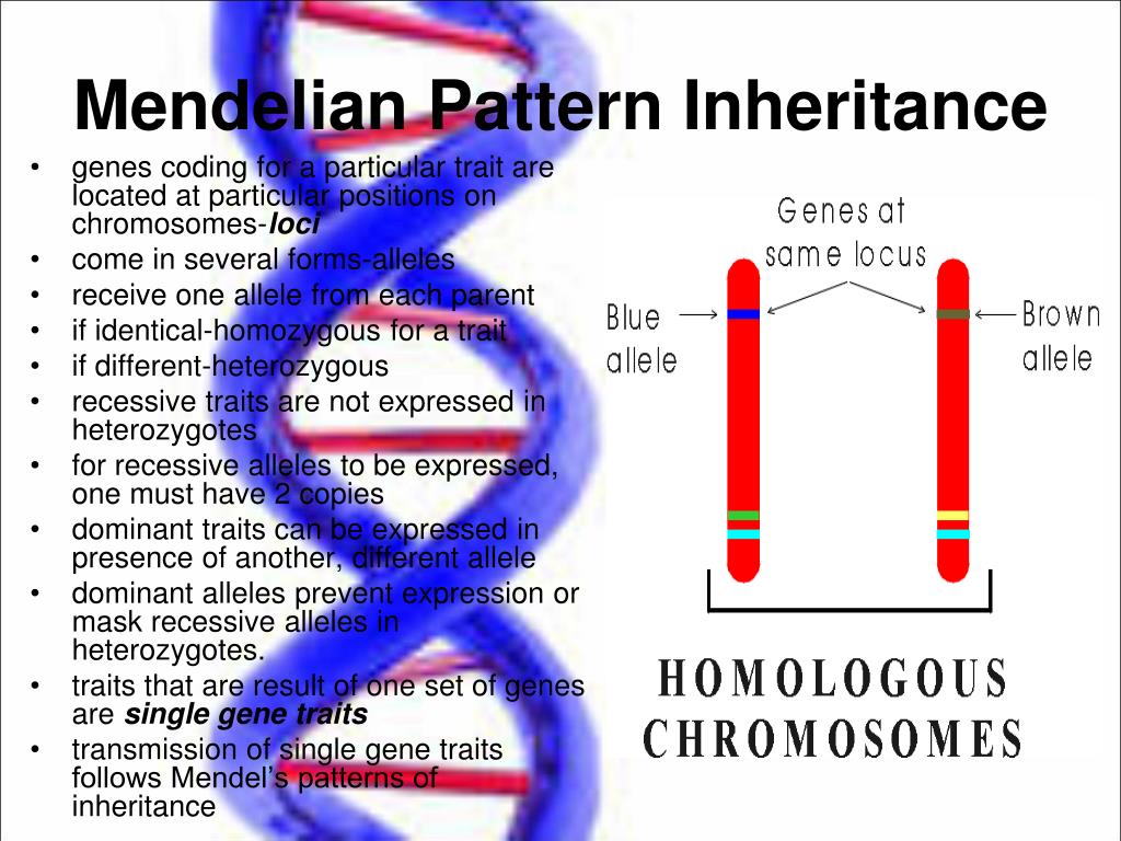 Mechanisms Of Non Mendelian Inheritance Patterns With - vrogue.co Mechanisms Of Non Mendelian Inheritance Patterns With - vrogue.co