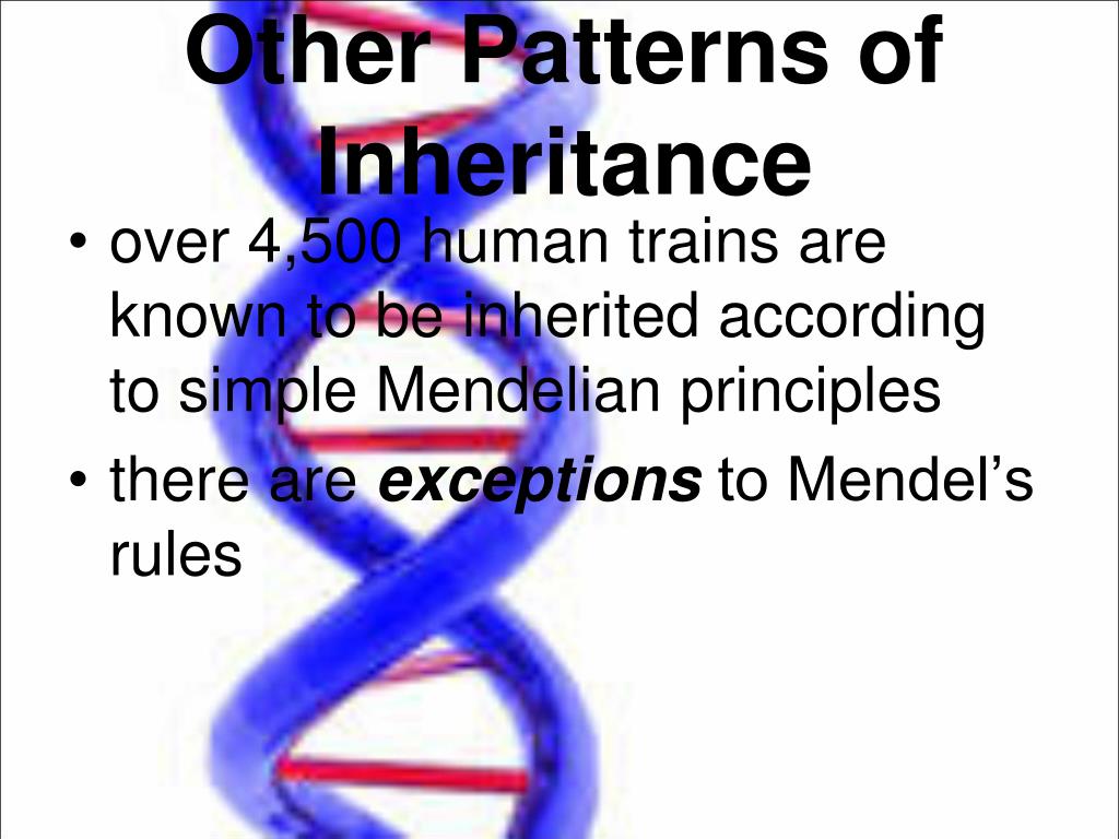 Ppt Principles Of Inheritance Powerpoint Presentation Free Download