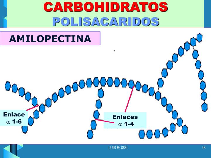 PPT - CLASIFICACION DE LAS CELULAS SEGÚN SUS CARACTERISTICAS ...