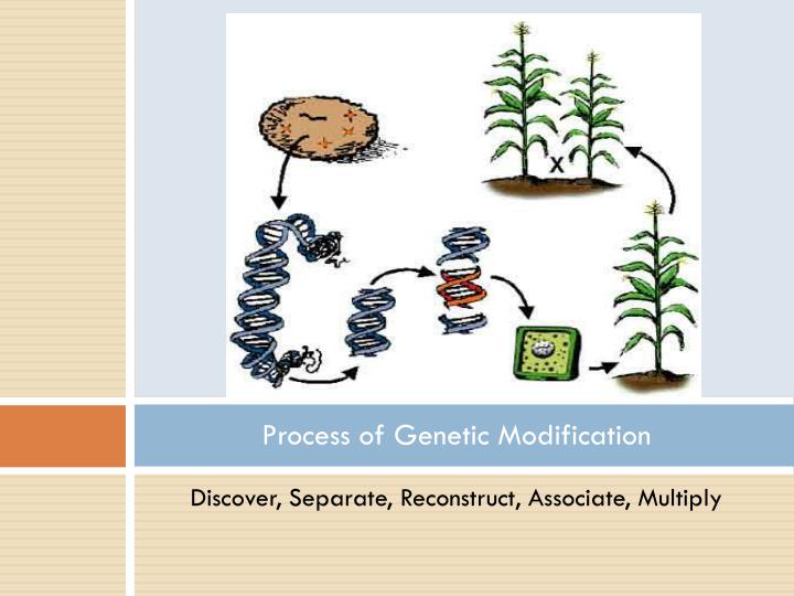 PPT - Genetic Modification PowerPoint Presentation - ID:3596085