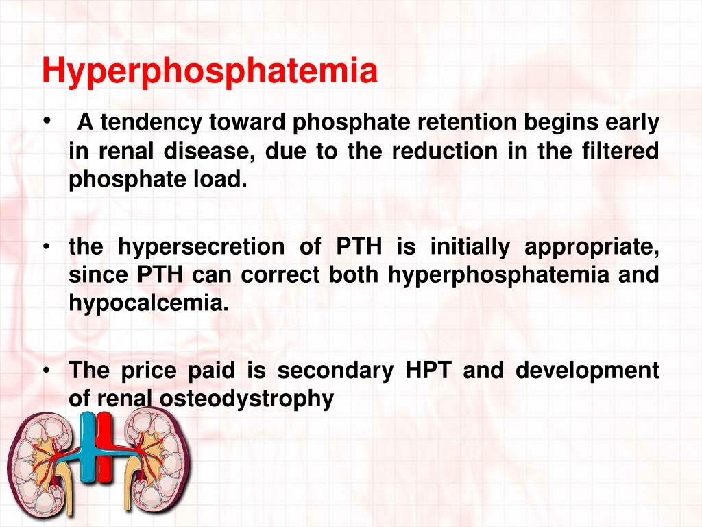 PPT - Overview of chronic kidney disease in adults PowerPoint ...